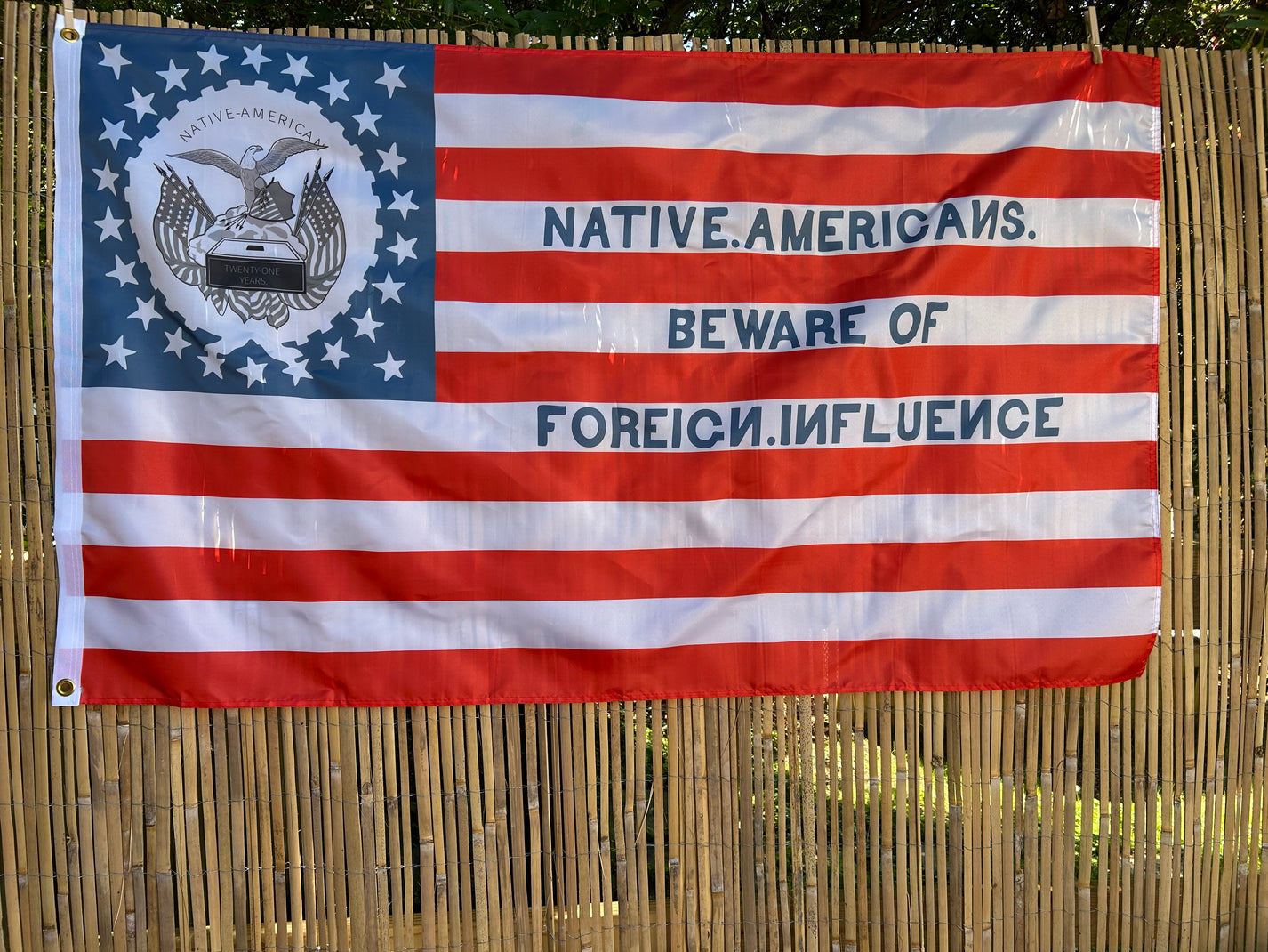 "Beware of Foreign Influence" - Know Nothing Party Flag – Beauregard's ...
